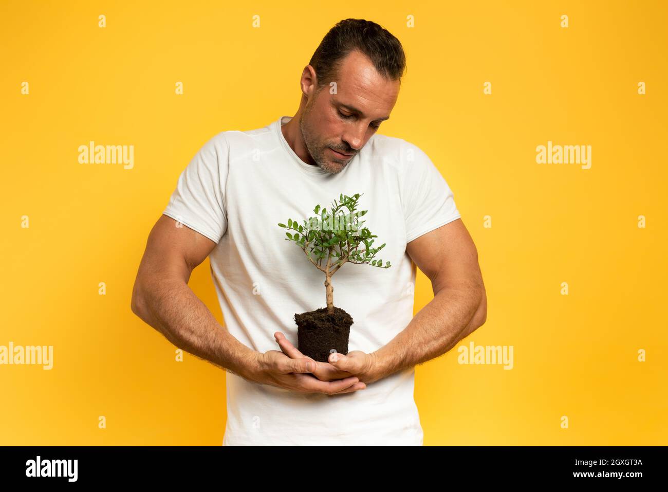 Boy hugs cradles a small tree ready to be planted .yellow color ...