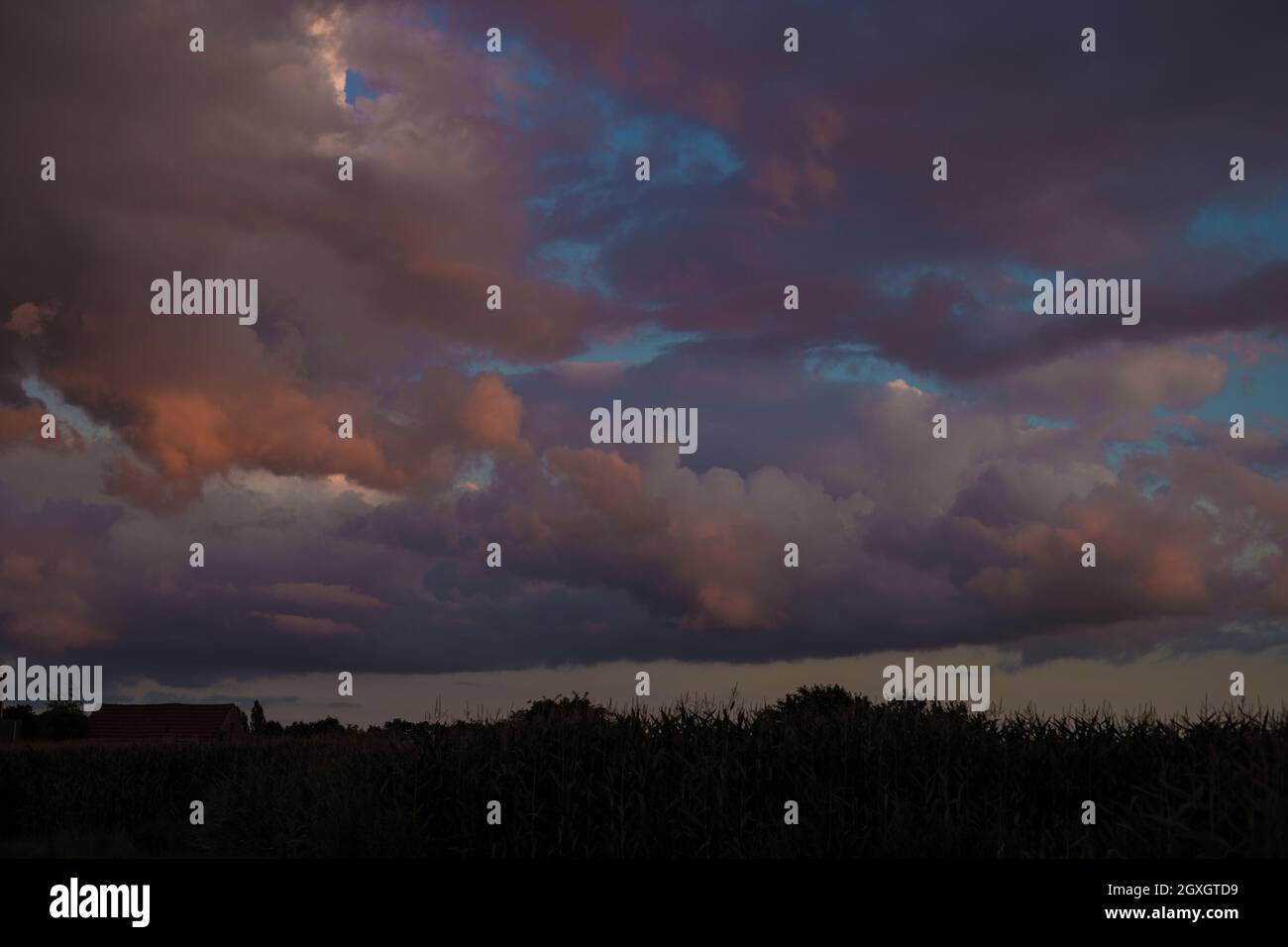 landscape with cloudy sky Stock Photo - Alamy