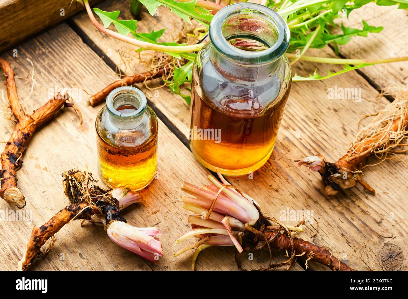 Healing herbs and herbal medicinal roots.Extract of dandelion.Taraxacum ...