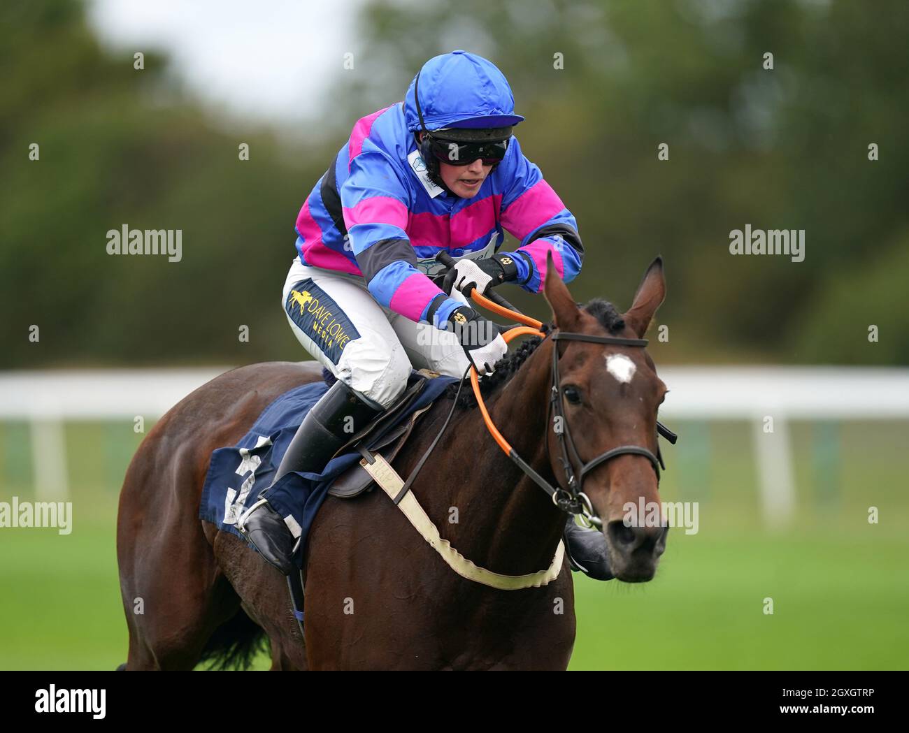 Daniel huntingdon hi-res stock photography and images - Alamy