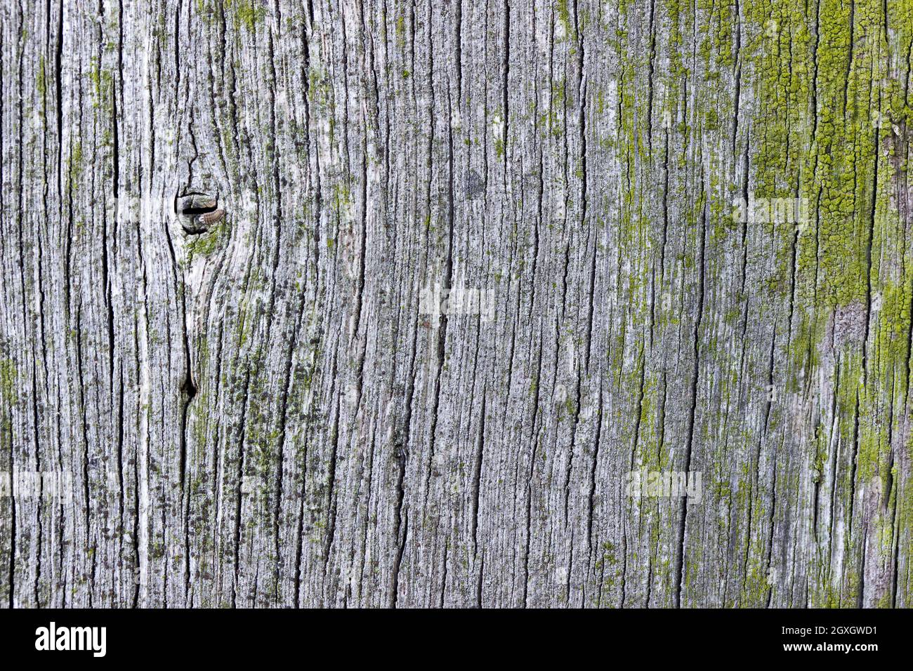 An abstract of weathered wood. The wood is heavily weathered and ...