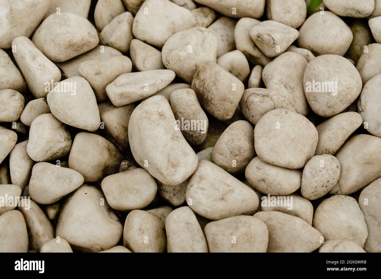 White pebble on the small garden ground inside the house. Background of ...
