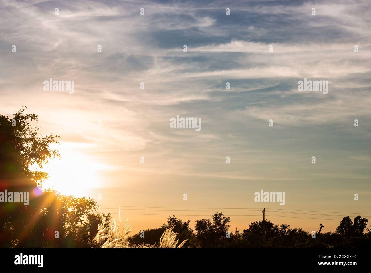 Sunlight glare through tree hi-res stock photography and images - Alamy