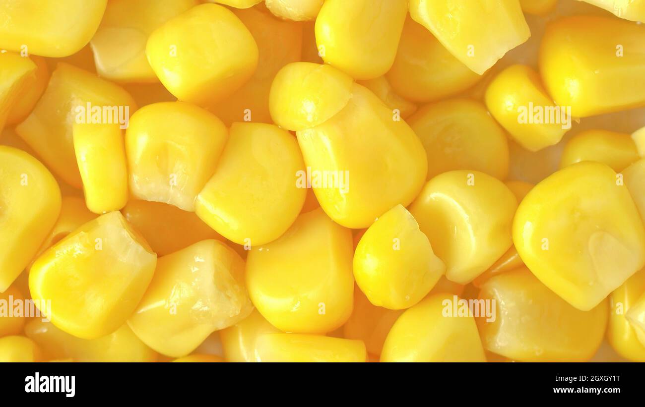 Maize corn texture useful as a background Stock Photo - Alamy