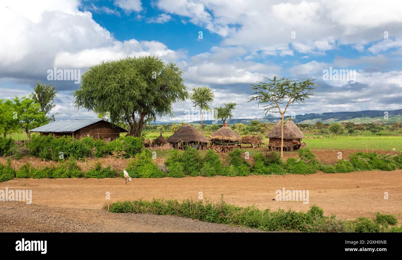 Ethiopian landscape with traditional ethiopian houses, small farm with ...