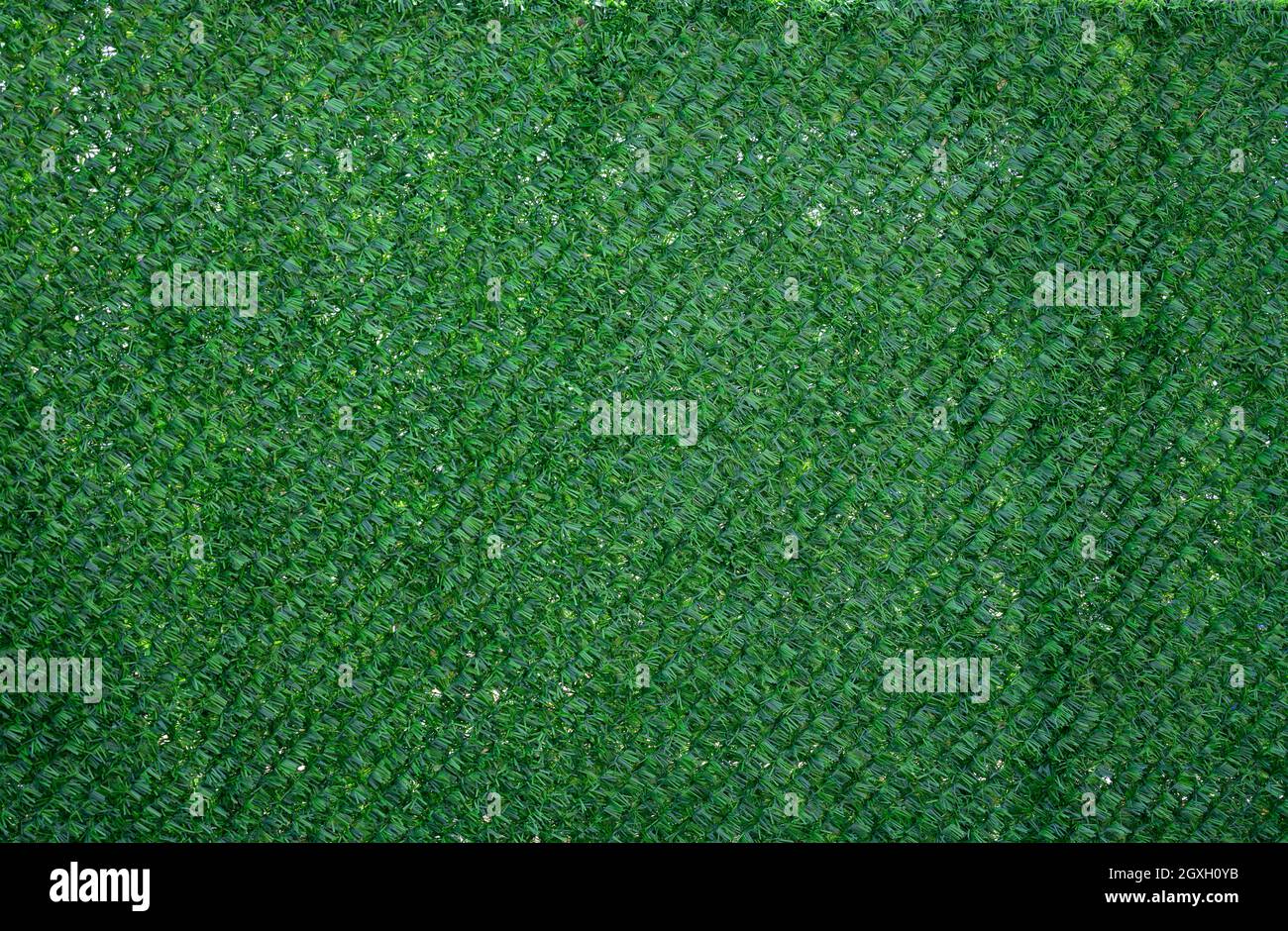 Masking net hi-res stock photography and images - Alamy