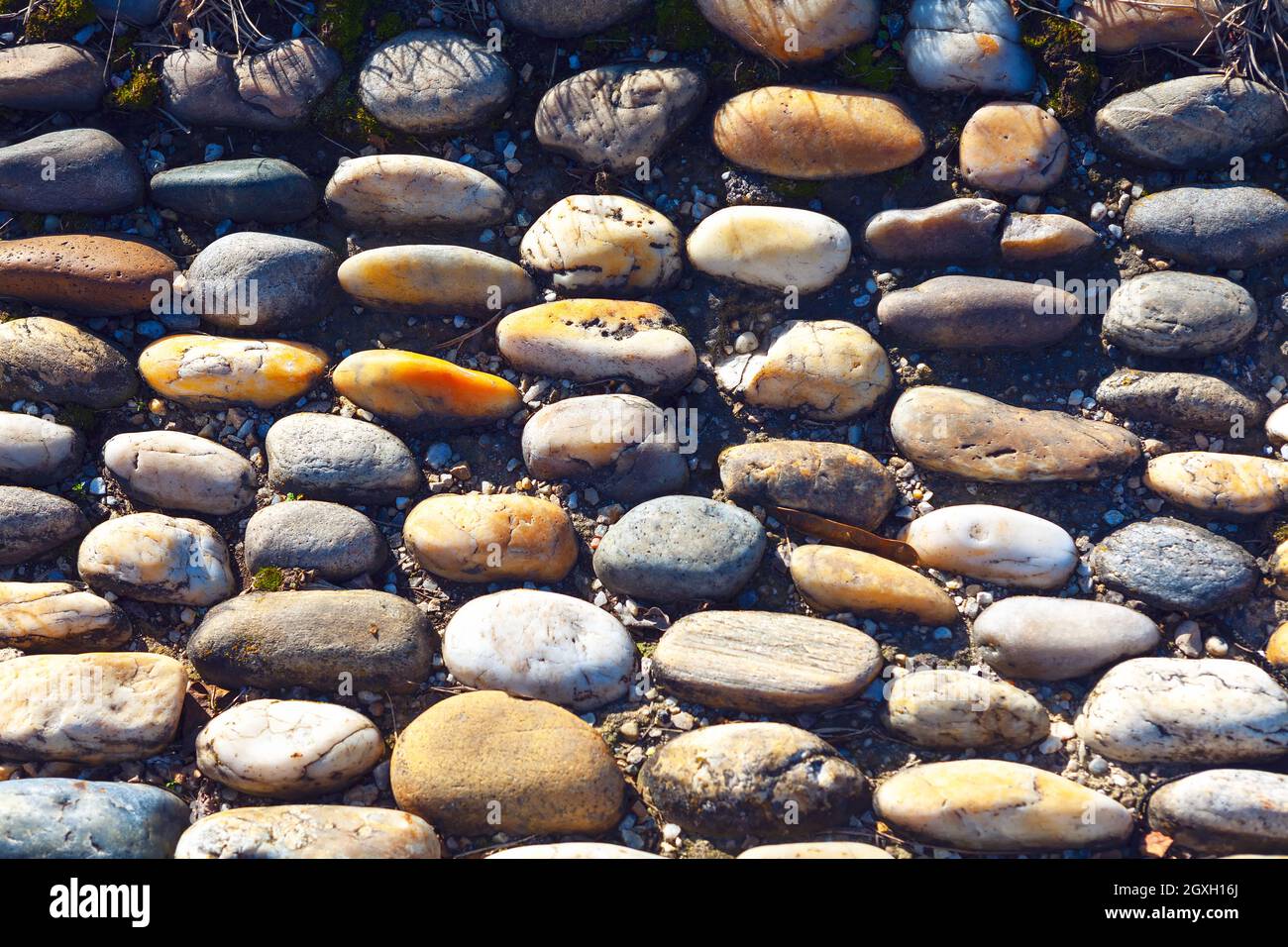 Decorative pebbles . Arranged in a row stones . ornamental garden decor ...