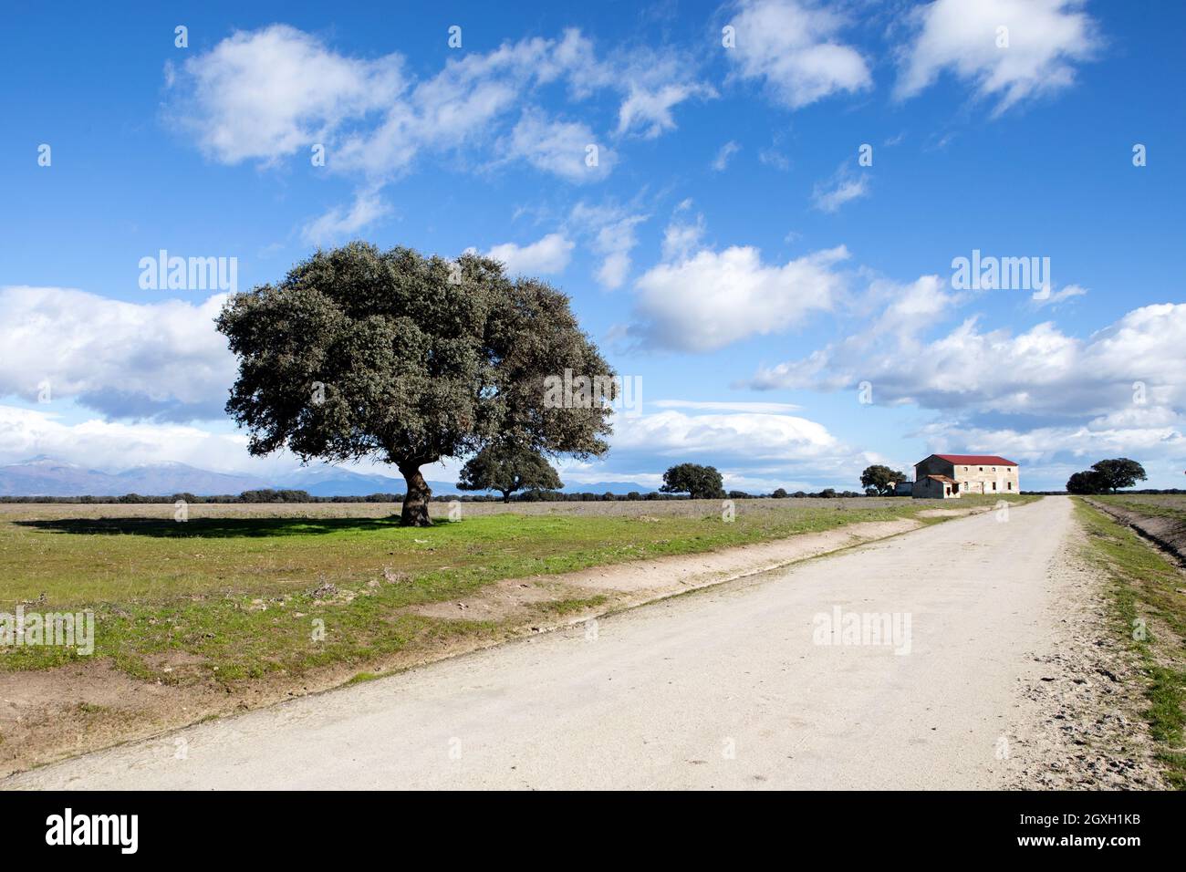 Lonely path on the middle of the countryside below a beautiful sky ...