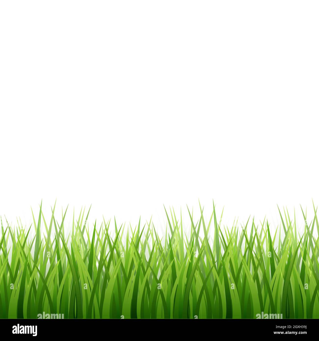 Realistic green meadow grass on white background - Vector illustration ...