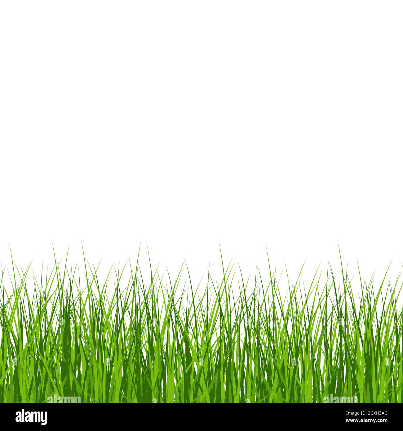 Realistic green meadow grass on white background - Vector illustration ...