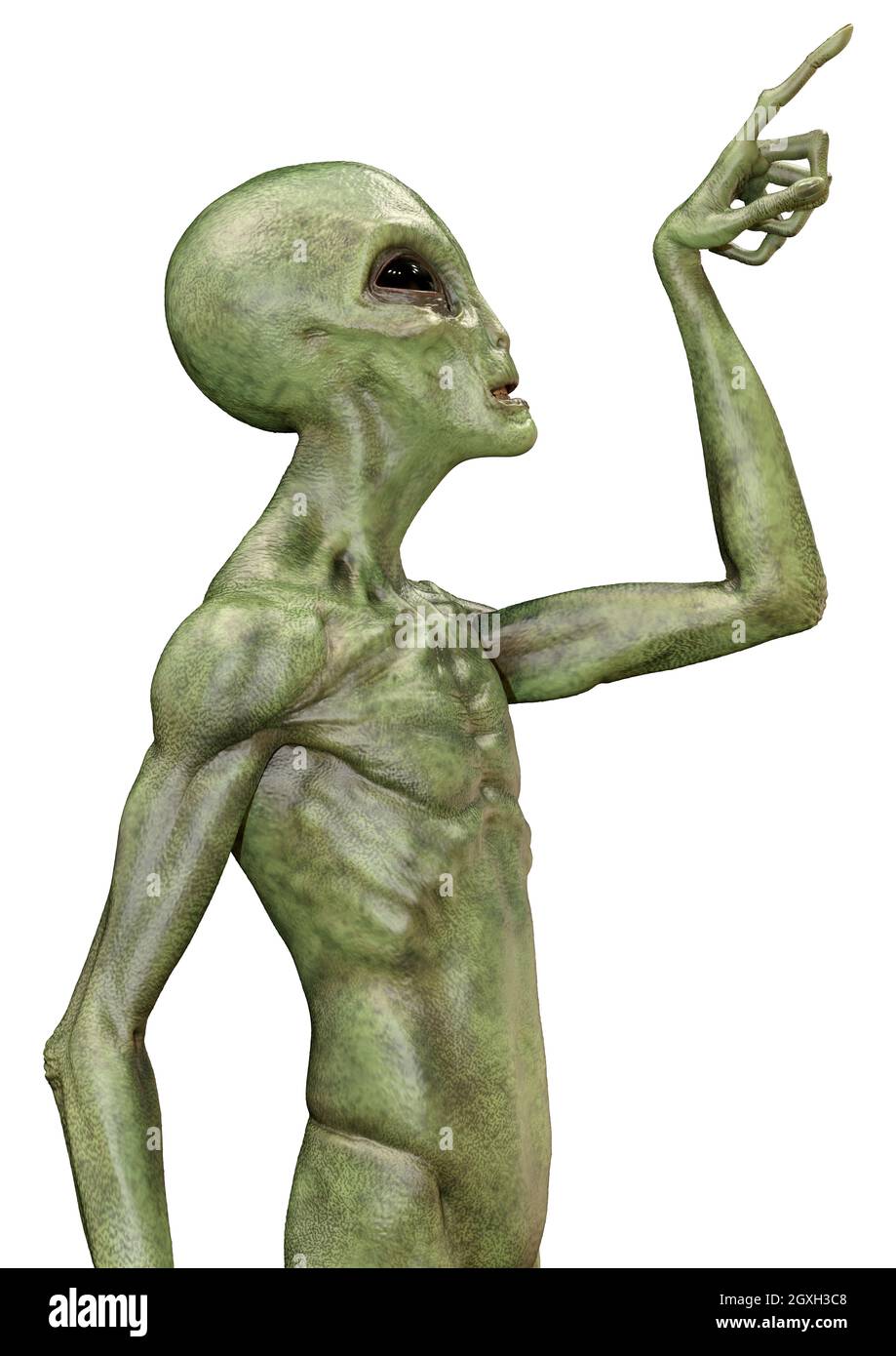 3D rendering of a green alien isolated on white background Stock Photo ...