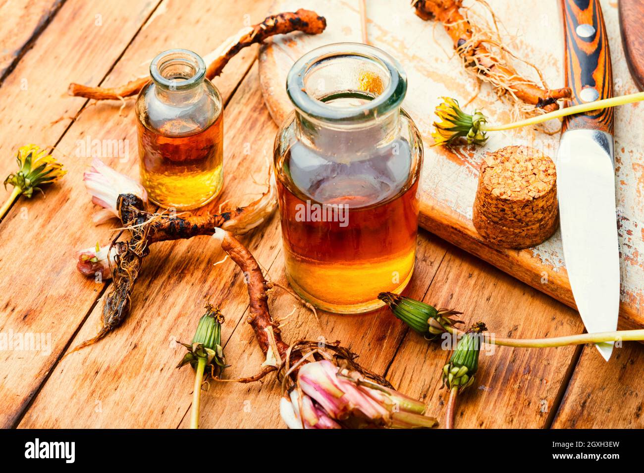 Healing herbs and herbal medicinal roots.Extract of dandelion.Taraxacum ...
