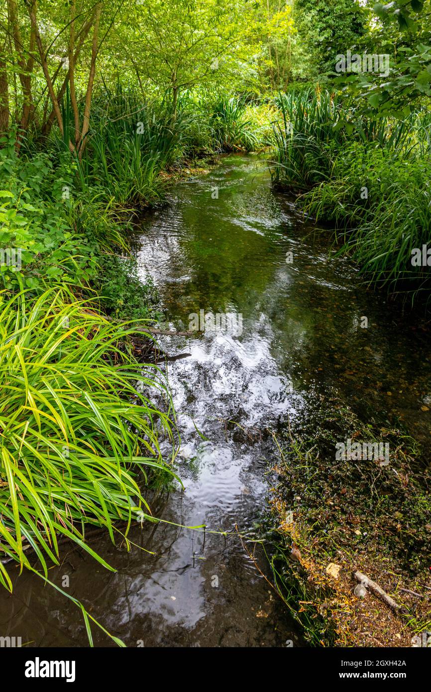River Chess, Riverside, Chesham, Buckinghamshire, England Stock Photo ...