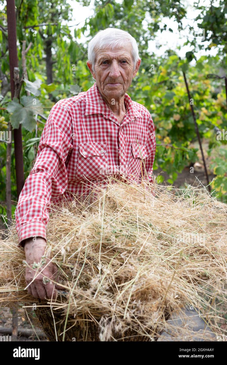 Old ukrainian man hi-res stock photography and images - Alamy