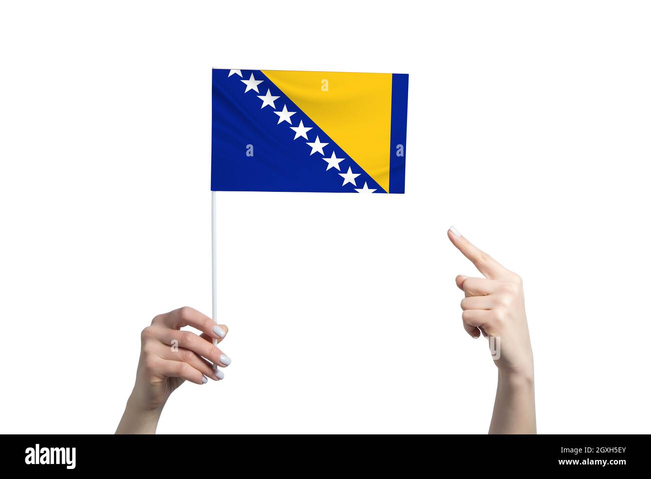 A beautiful female hand holds a Bosnia and Herzegovina flag to which ...