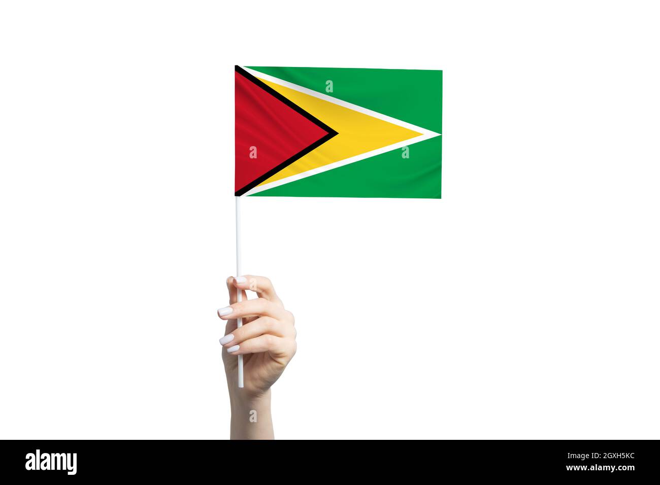 Beautiful female hand holding Guyana flag, isolated on white background ...