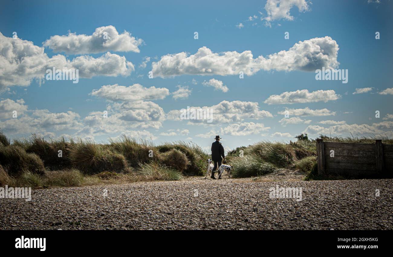 Two dalmatians hi-res stock photography and images - Alamy
