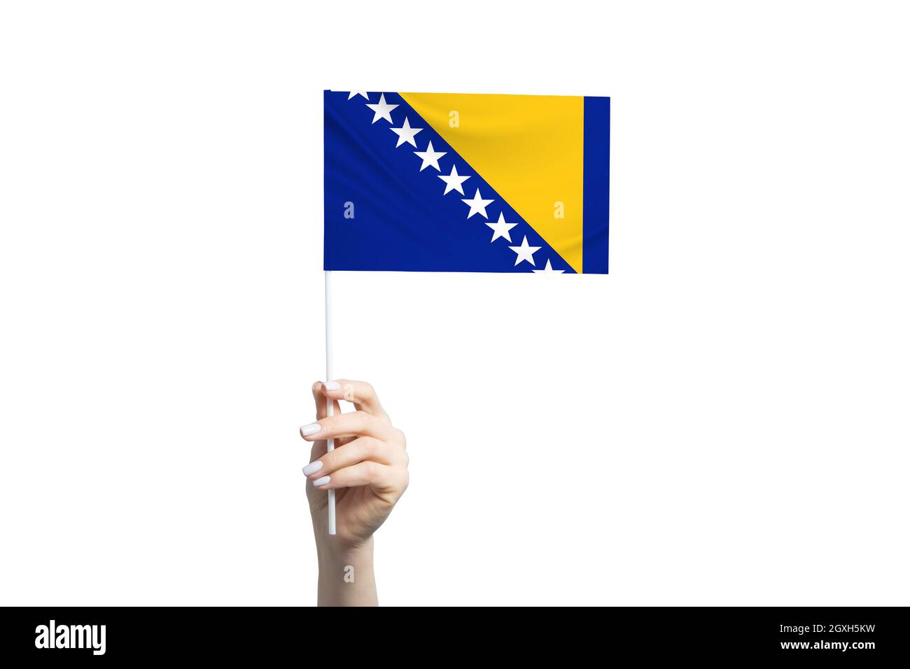 Beautiful female hand holding Bosnia and Herzegovina flag, isolated on ...
