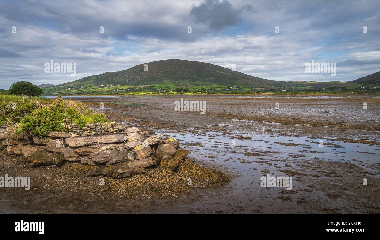 Large dry lagoon or marsh after ebb tide with stone pier and mountain ...