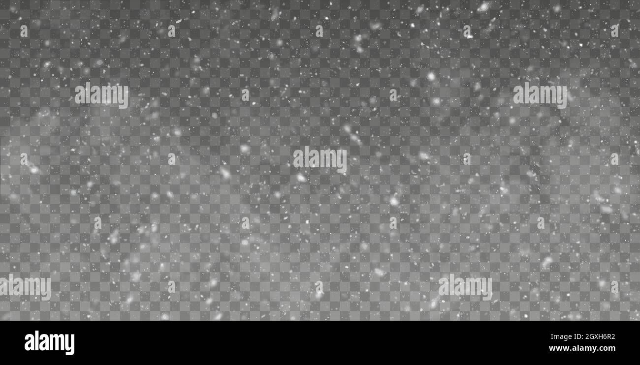 Vector snowfall isolated. Winter background. Snow overlay illustration ...