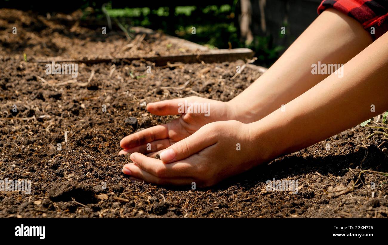 Girl holding ground in hands. Farmer picking fertile soil for planting ...