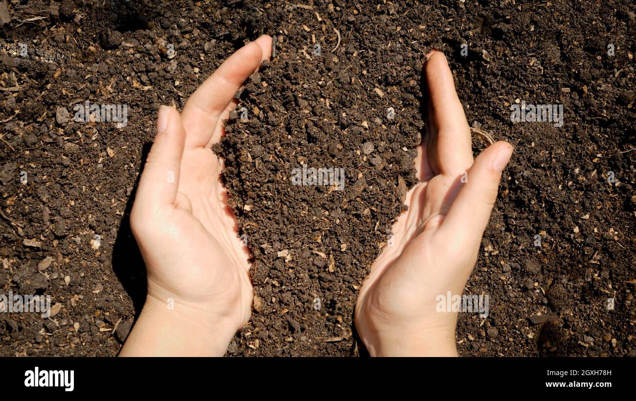 Top view of female hands holding garden ground and lifting up. Concept ...