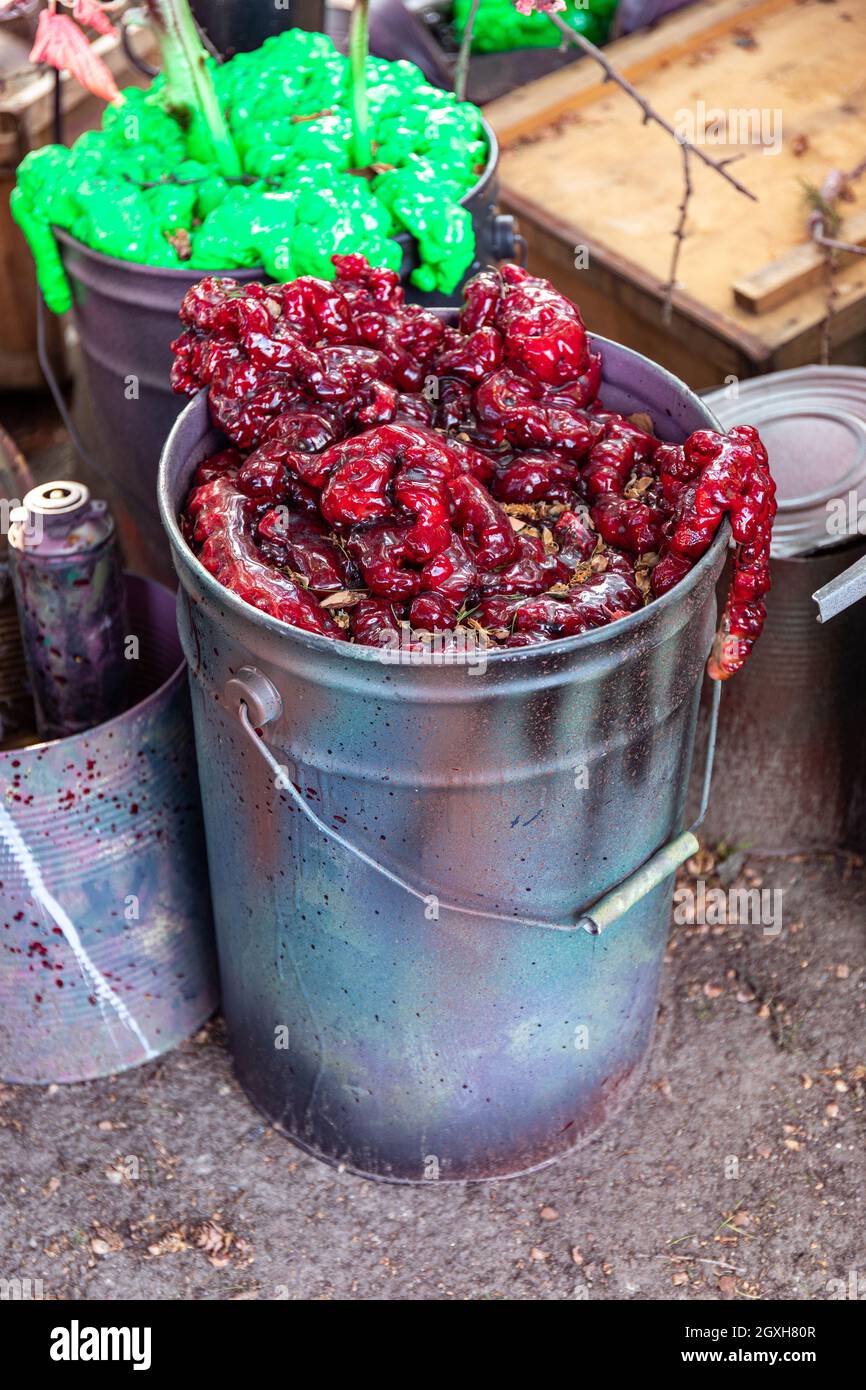 Halloween decoration: bucketful of intestines or entrails Stock Photo ...