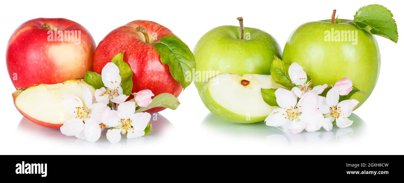 Apples fruits red green apple fruit collection with leaves and blossoms ...