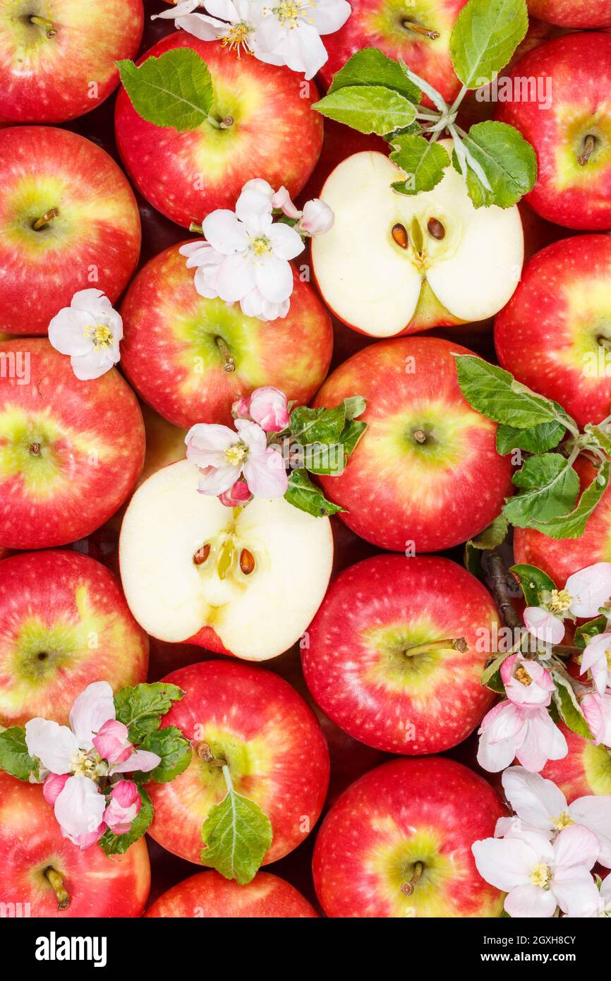 Apples fruits red apple fruit background portrait format with leaves ...