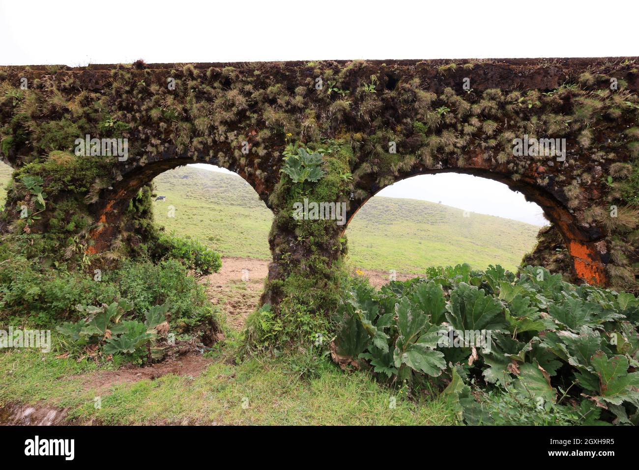 Ancient aqueduct, Sao Miguel island, Azores Stock Photo - Alamy