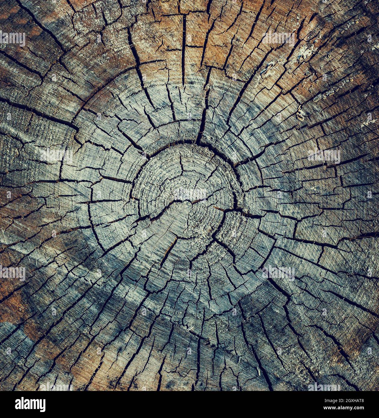 Old crack wood texture background Stock Photo - Alamy