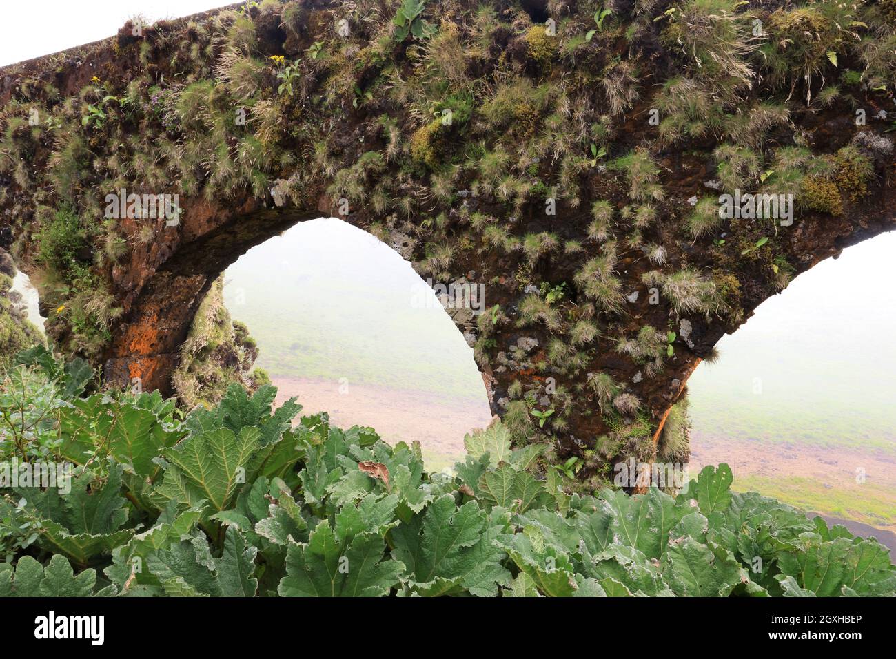 Ancient aqueduct, Sao Miguel island, Azores Stock Photo - Alamy