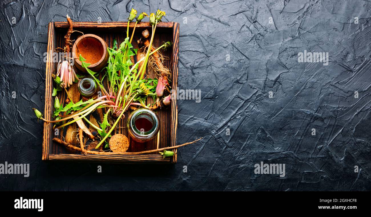 Bottle with tincture of dandelion.Taraxacum,medicinal plants.Dandelion ...