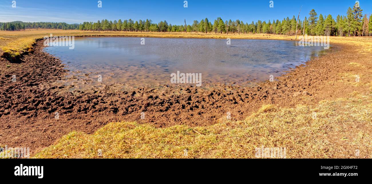 Shallow pond in the Sunflower Flat Wildlife Preserve near Williams ...