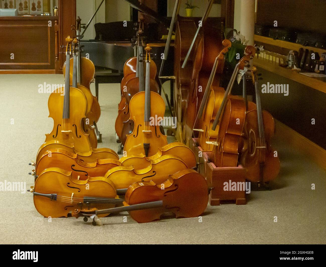 Orchestra concert conductor violins hi-res stock photography and images ...