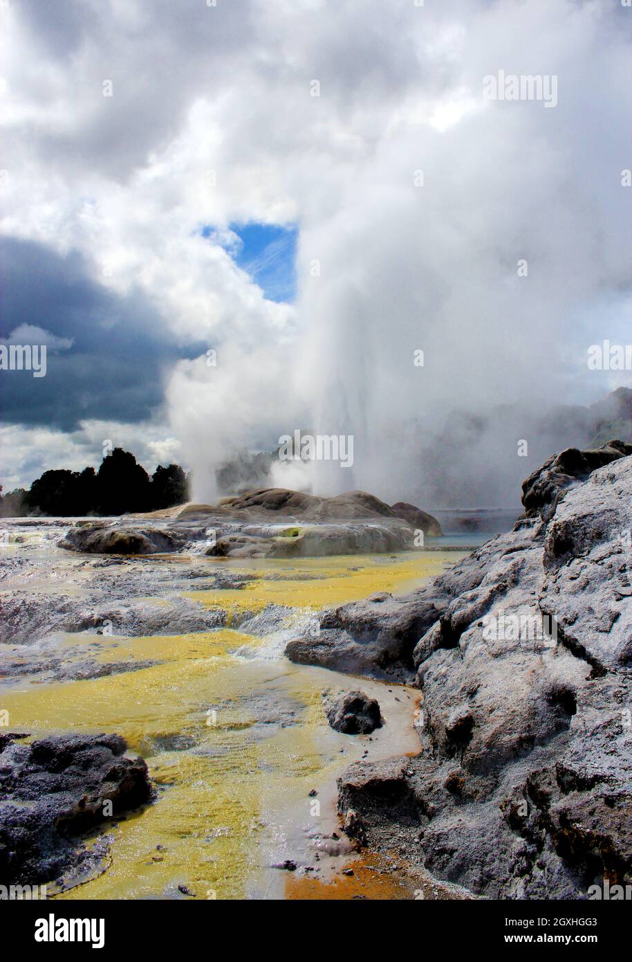 Eruption of the geyser. Pohutu geyser.Rotorua, New Zealand. 18 Oct ...