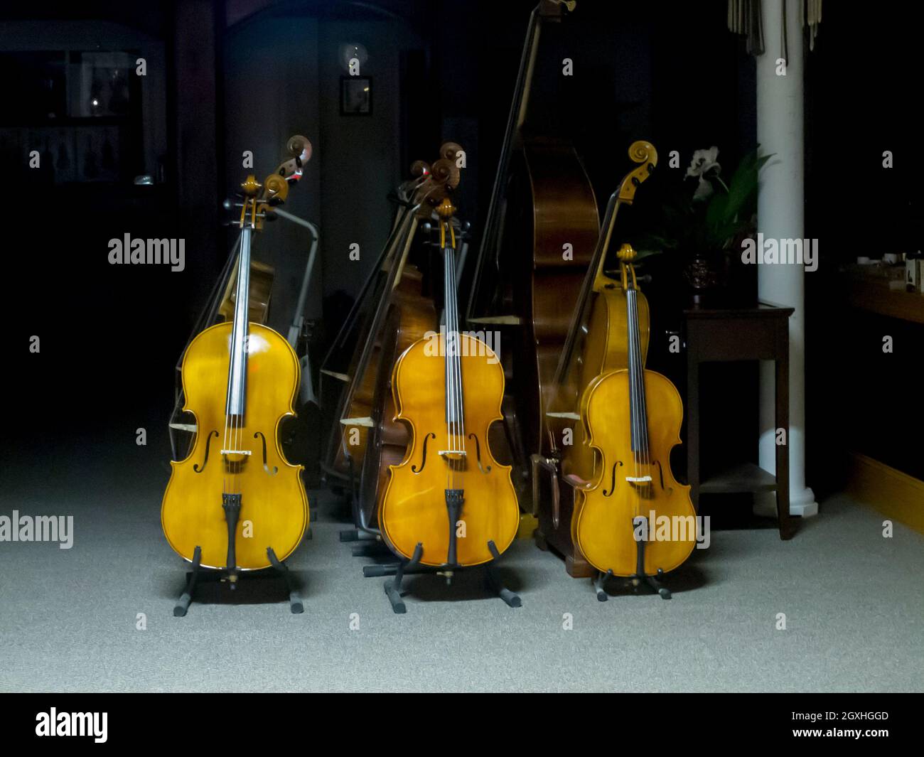 Accoustic bass hi-res stock photography and images - Alamy