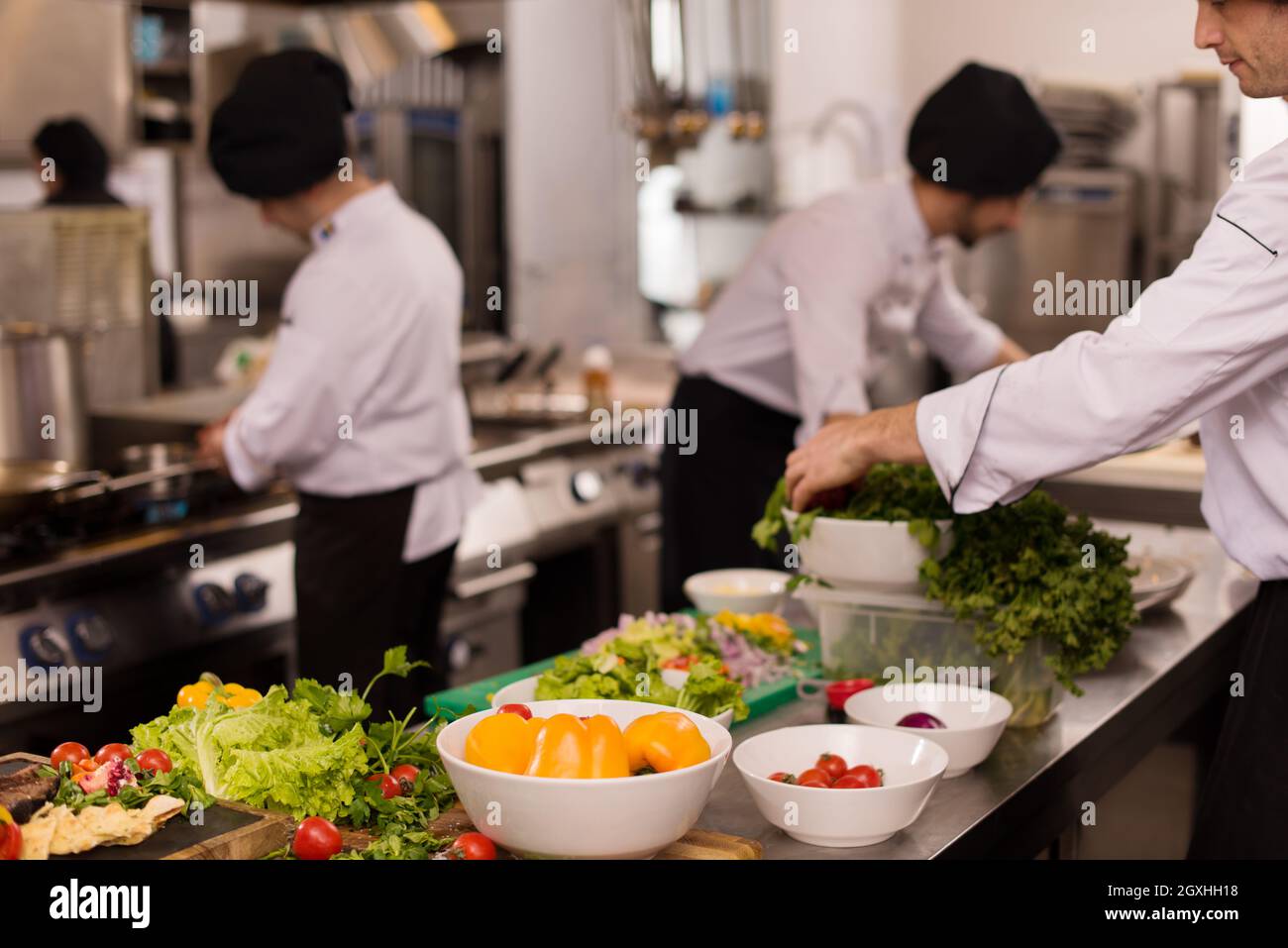 Professional team cooks and chefs preparing meal at busy hotel or ...