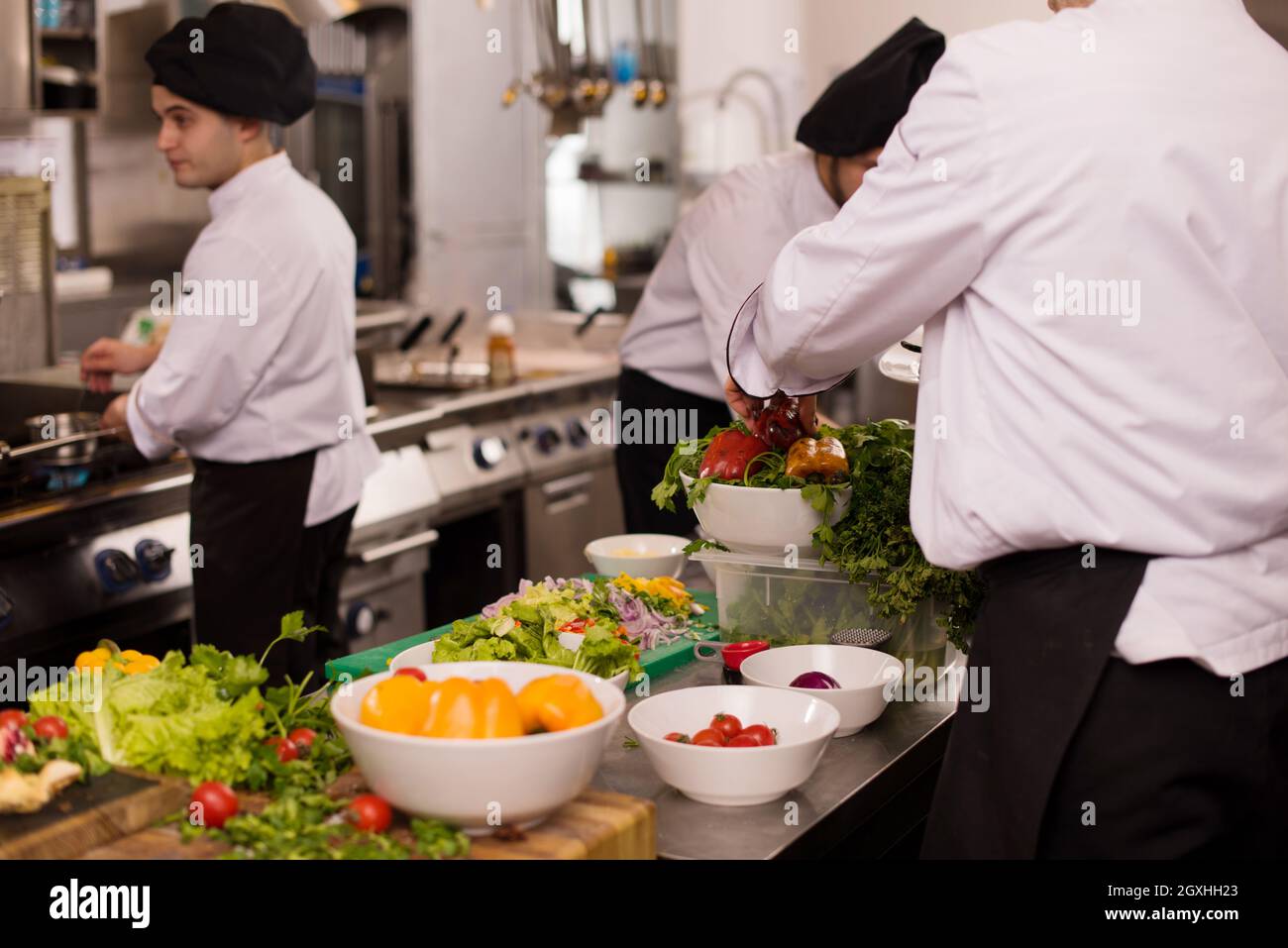 Professional team cooks and chefs preparing meal at busy hotel or ...