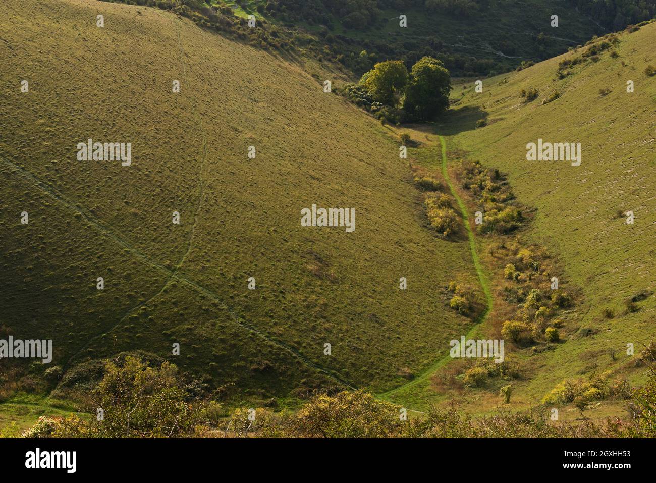 Summer view along Rake Bottom from Ramsdean Down on Butser Hill in ...