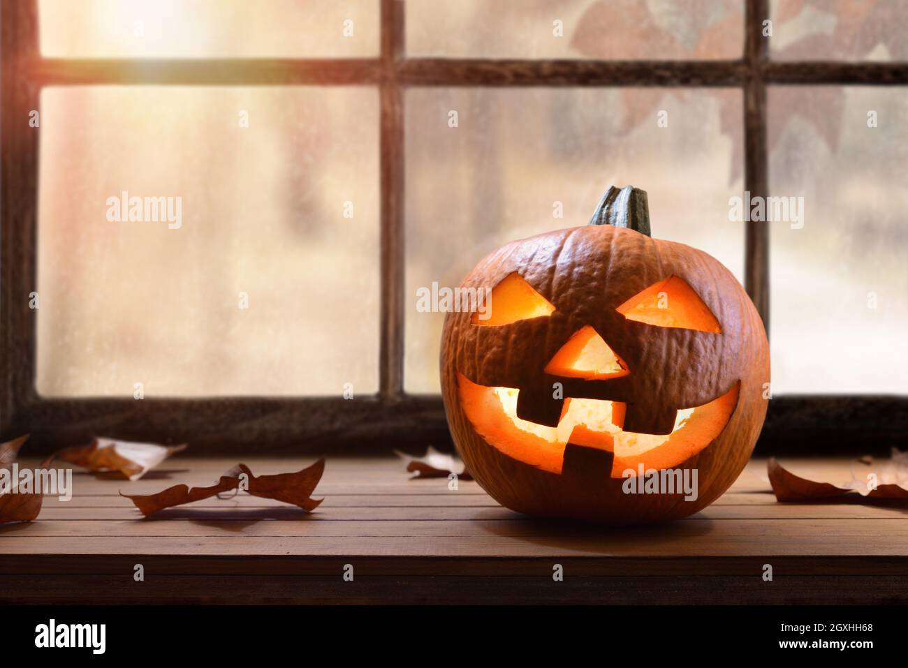 Halloween pumpkin with leaves on windowsill at home with window with ...