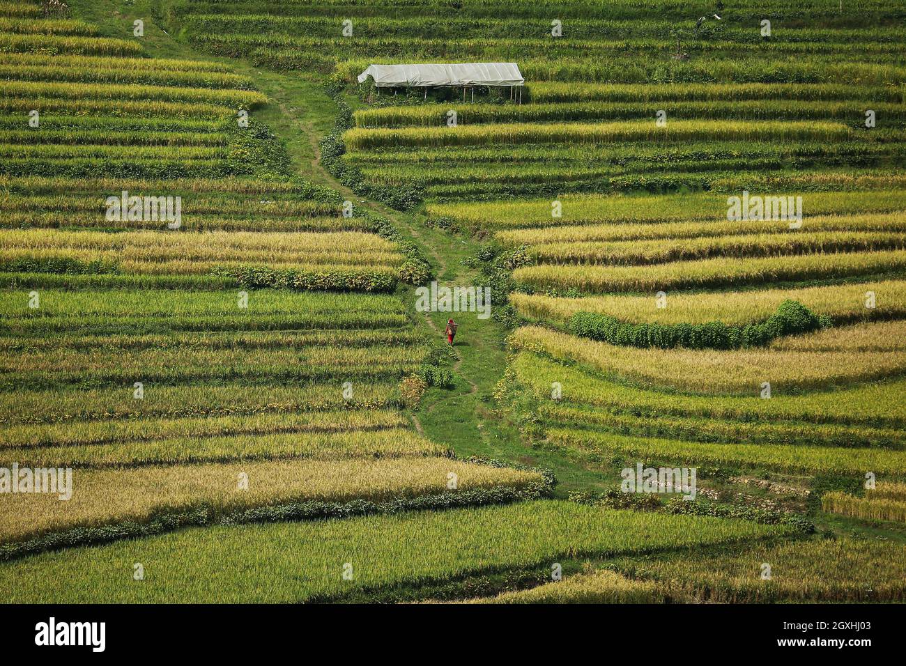 Rural areas of nepal hi-res stock photography and images - Alamy