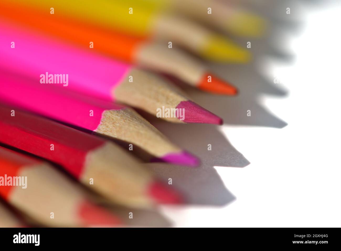 children education concept with colorful wooden pen isolated on white ...