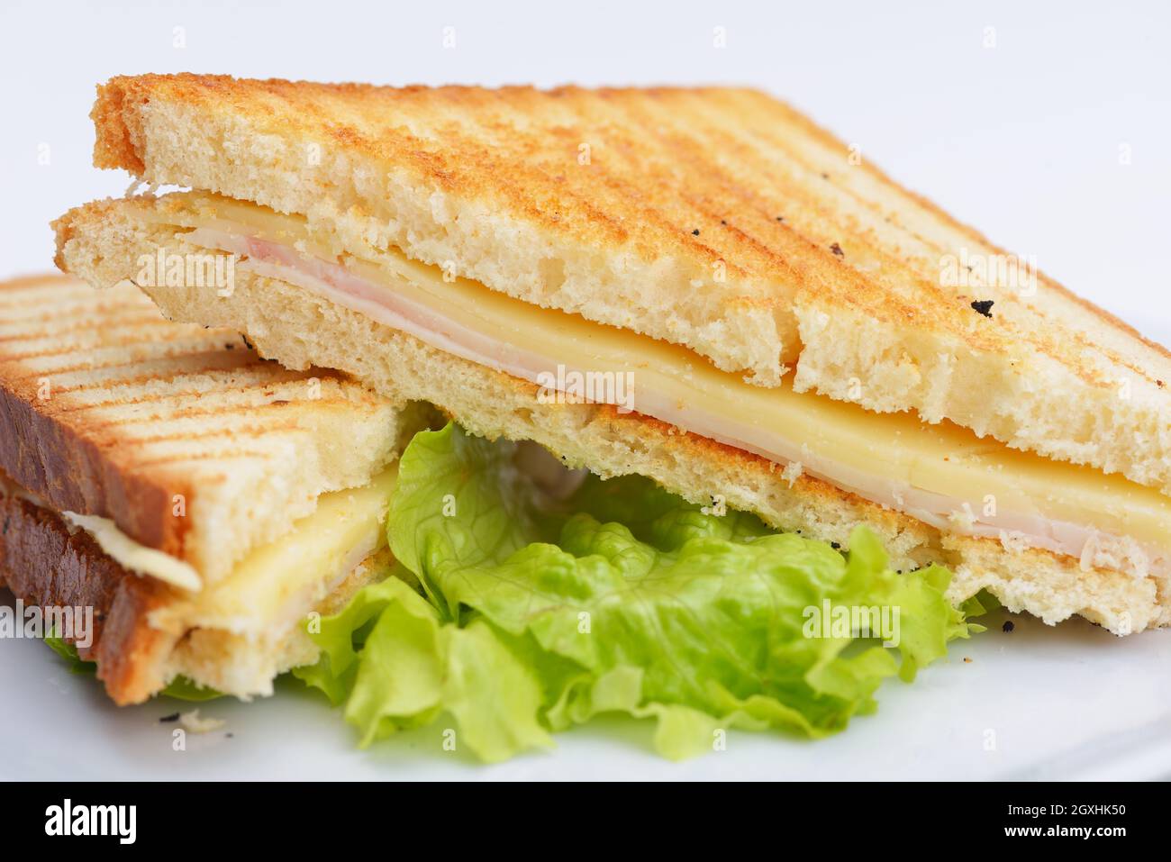 fresh sandwich close up with vegetables and meat fish isolated on white ...