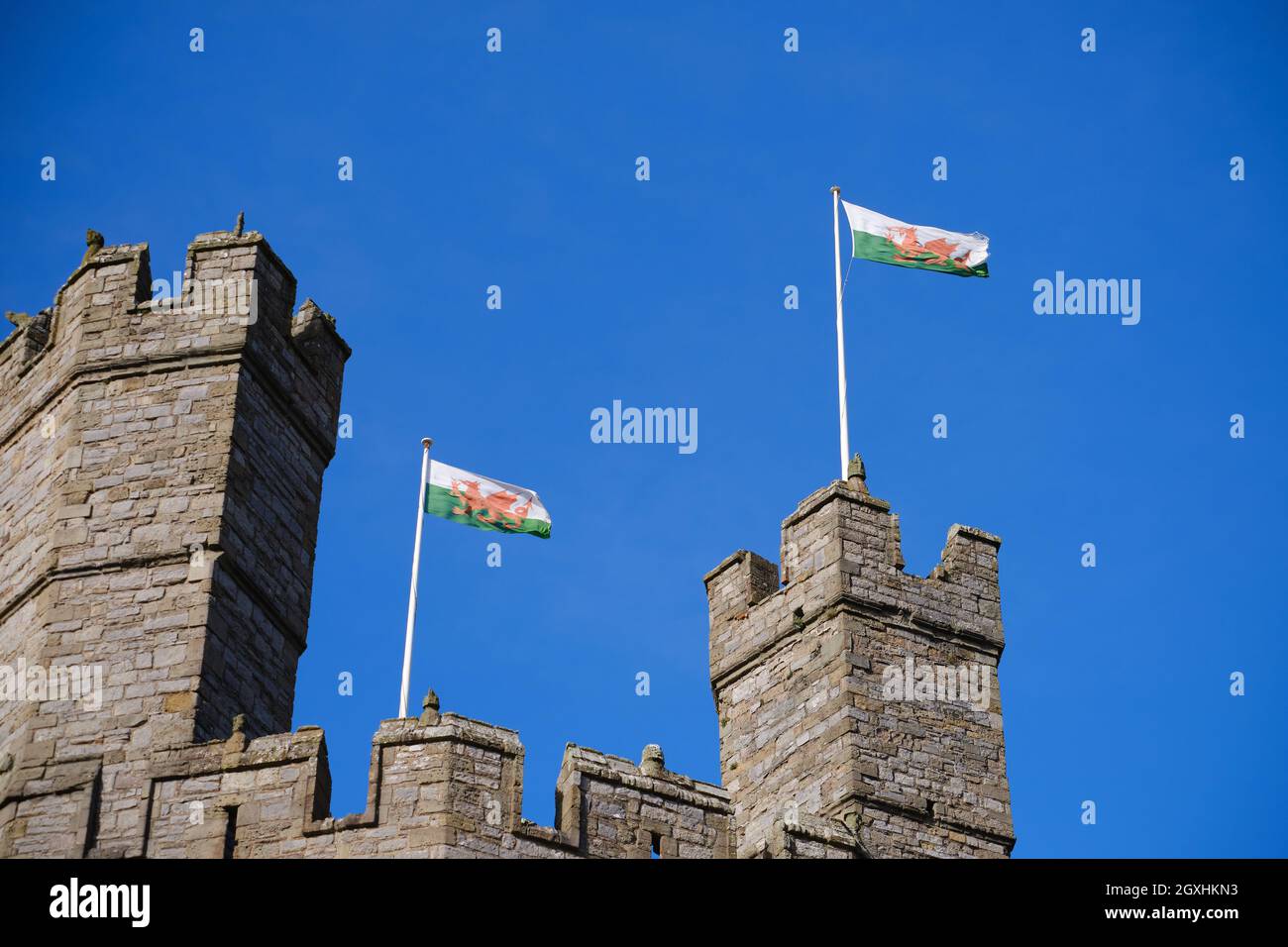 Welsh flags flying from castle walls Stock Photo - Alamy