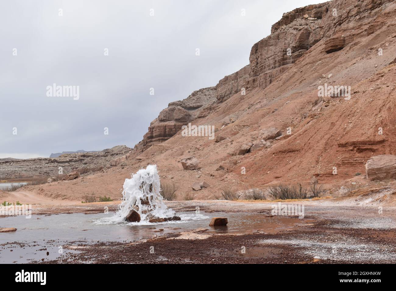 A cold water geyser in the desert Stock Photo - Alamy