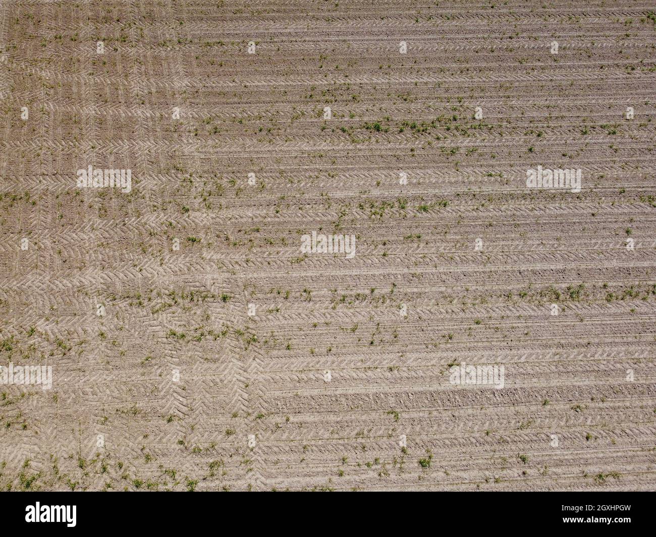 Aerial view of an agricultural field with grain planted in spring in ...