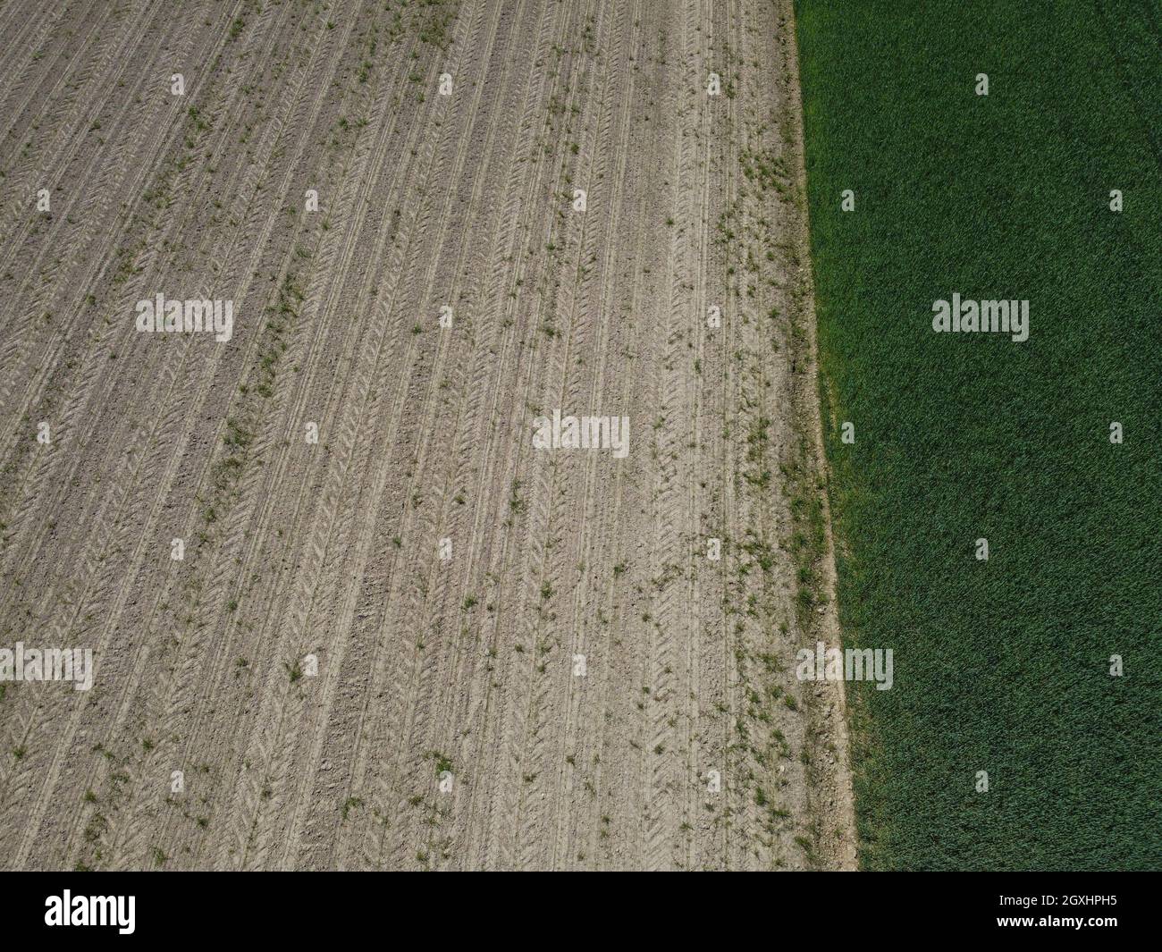Aerial view of an agricultural field with grain planted in spring in ...