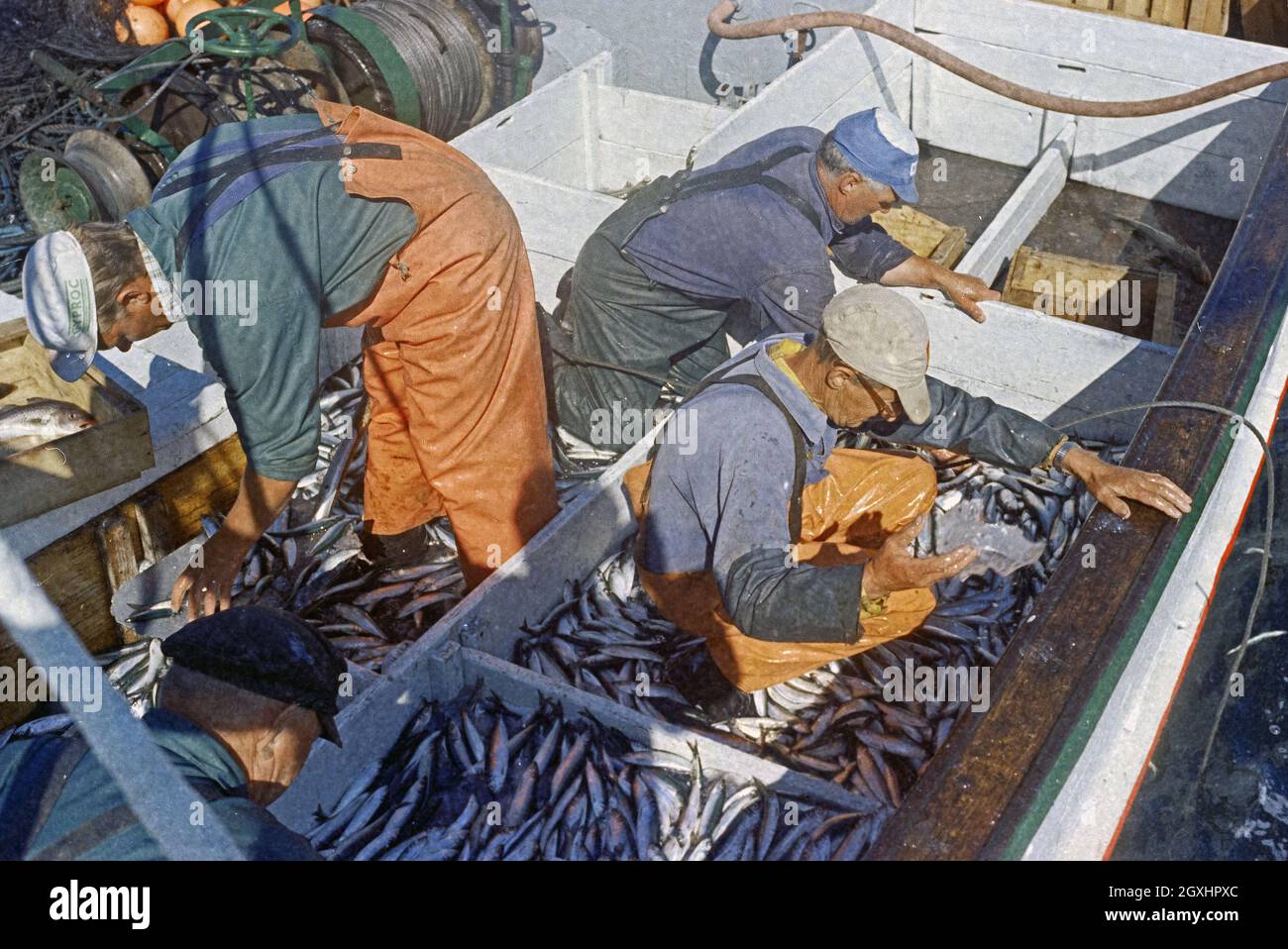 Men on fishing boat with fish Stock Photo - Alamy