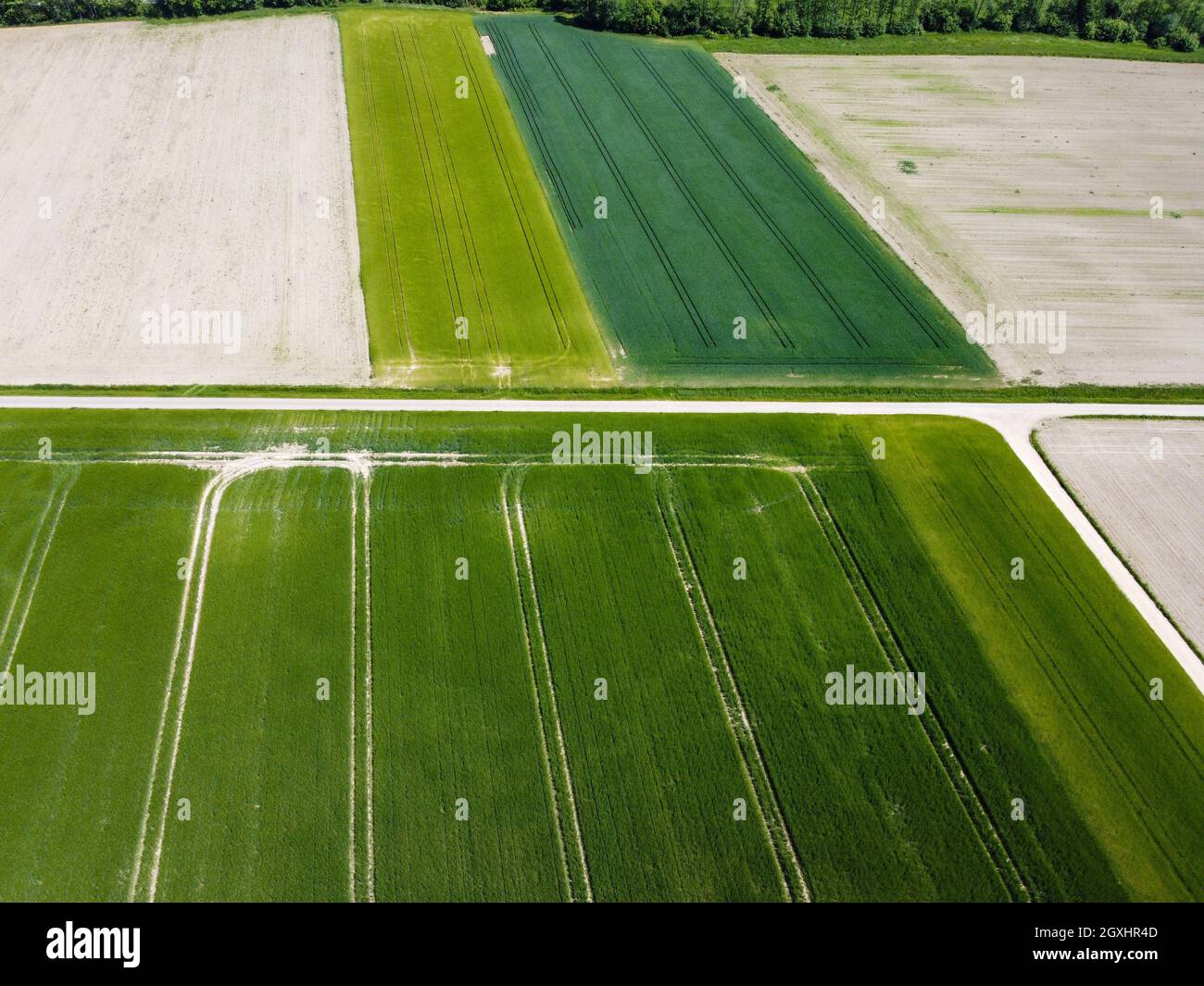 Aerial view of an agricultural field with grain planted in spring in ...